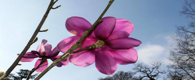 The Learning Disability Mortality Review 2019 : ESNA - Epilepsy Nurses ...